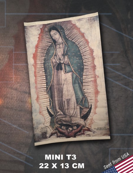(Only USA) Replica Tilma of Our Lady of Guadalupe (T3 MINI size - 22 X ...